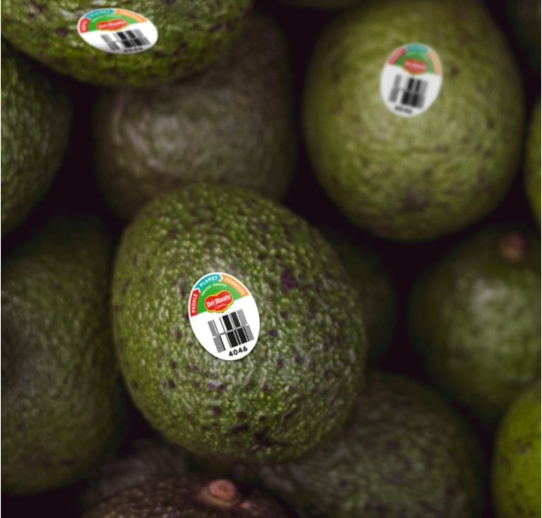 Making Avocado Processing More Efficient | Fresh Del Monte