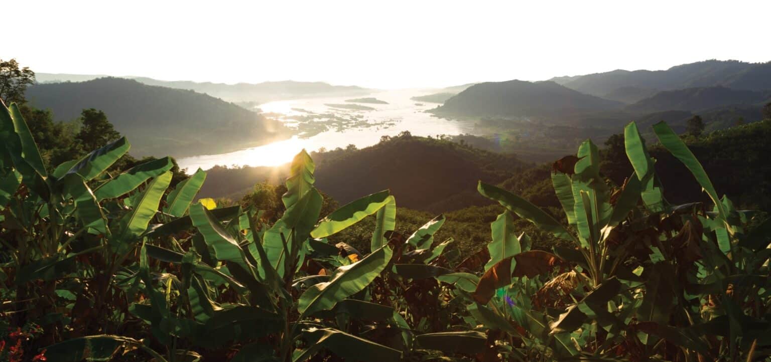 Fresh Del Monte | The Gold Standard of Goodness