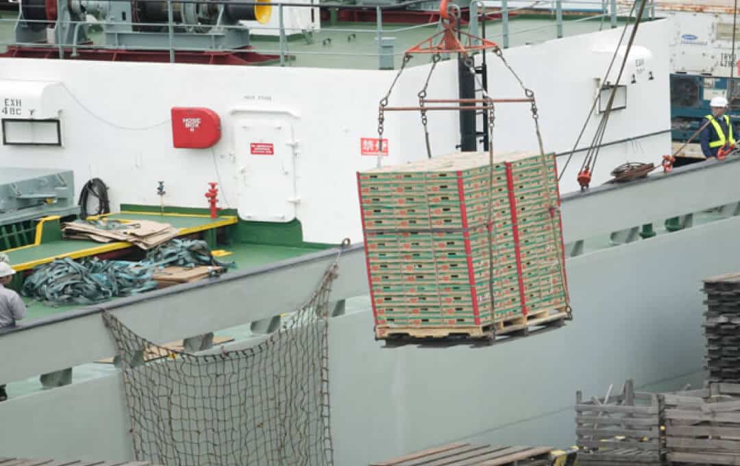 Commercial Cargo | Fresh Del Monte