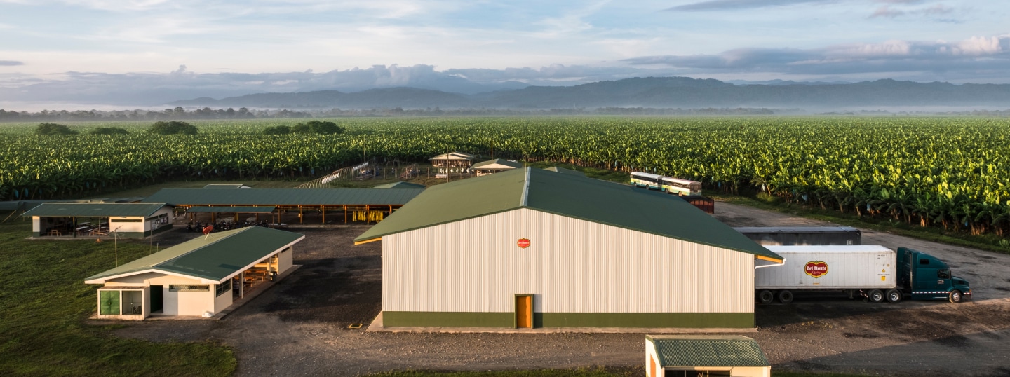 Where We Operate | Fresh Del Monte