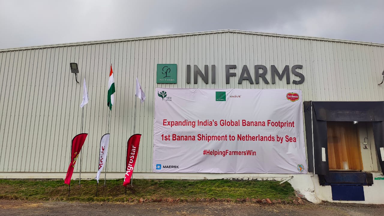 INI Farms waves off first shipment of ‘Kimaye’ branded bananas for ...